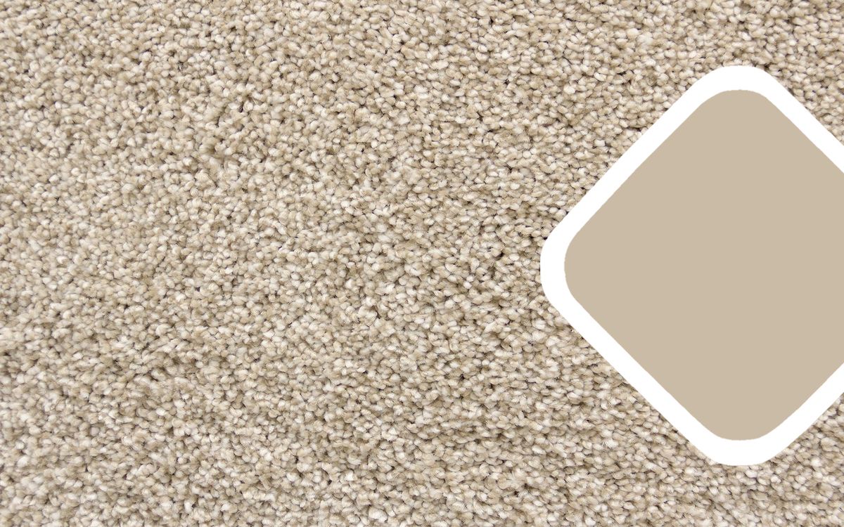 Kusové koberce COLOR: Moderný štýl pre váš domov